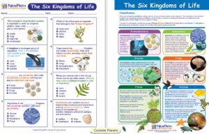 The Kingdoms Of Life - Nature Kingdoms
