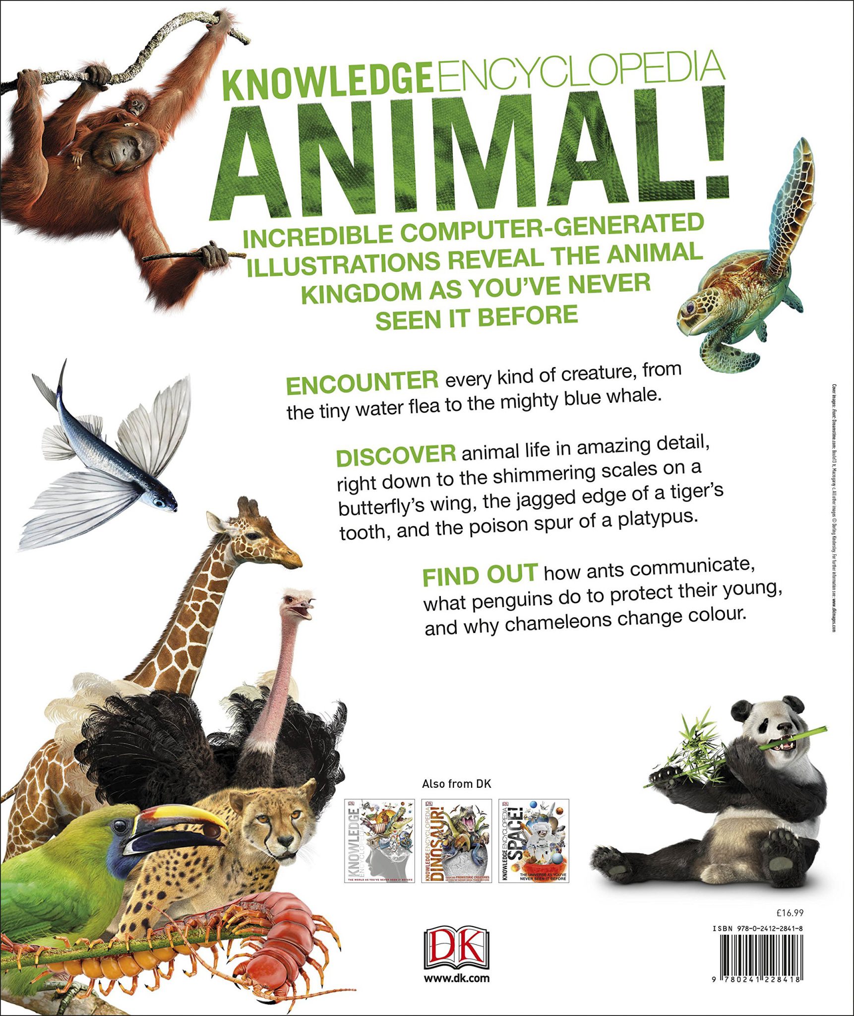 Animal Kingdom - Nature Kingdoms