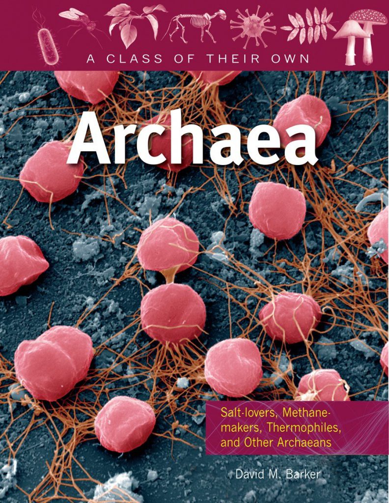 Archaea Kingdom - Nature Kingdoms