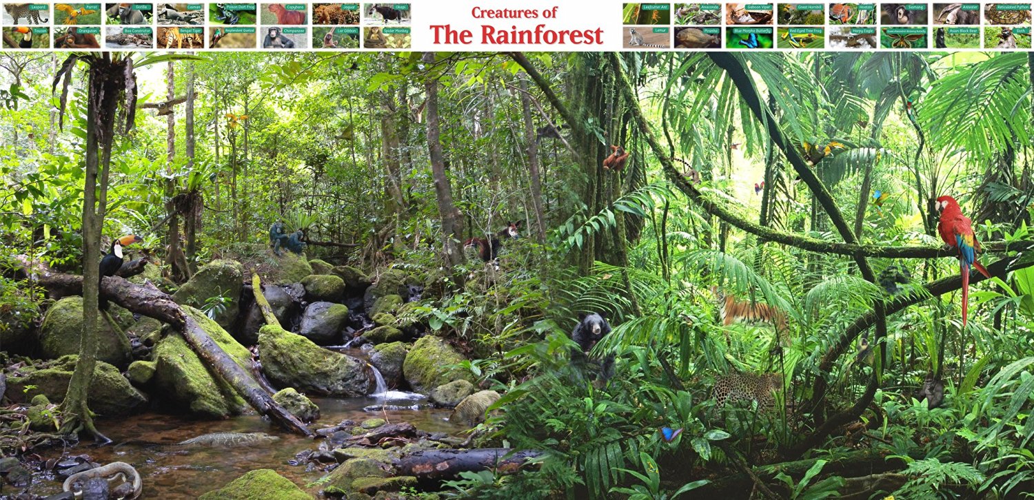 Plant Habitats - Nature Kingdoms
